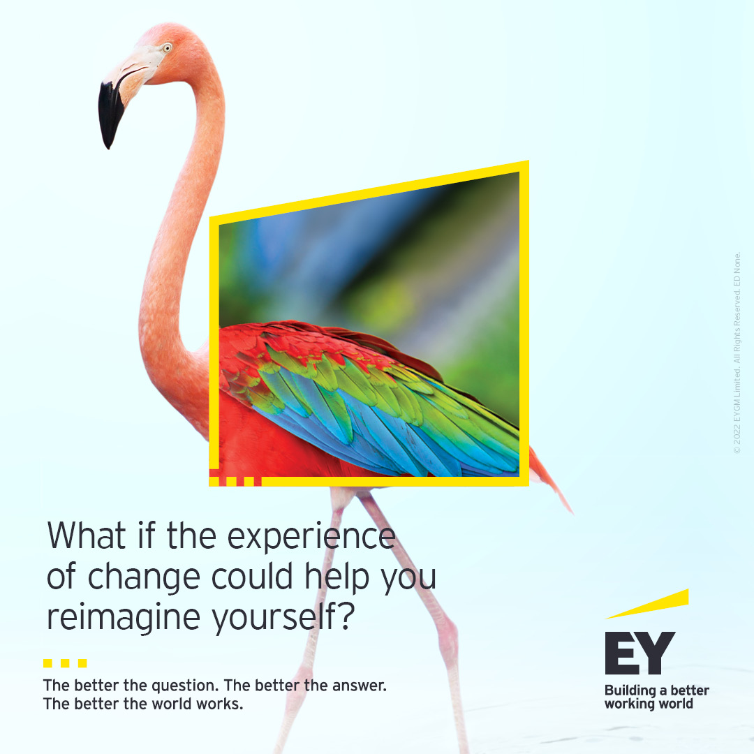 Building a better working world | EY - Global