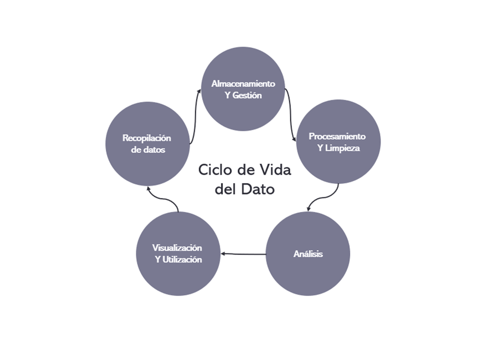 El valor oculto de los datos: De la información a la ventaja ...