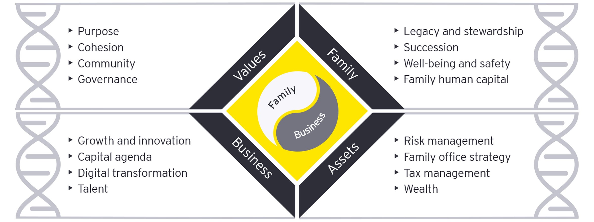 EY Family Enterprise DNA Model | EY - Global