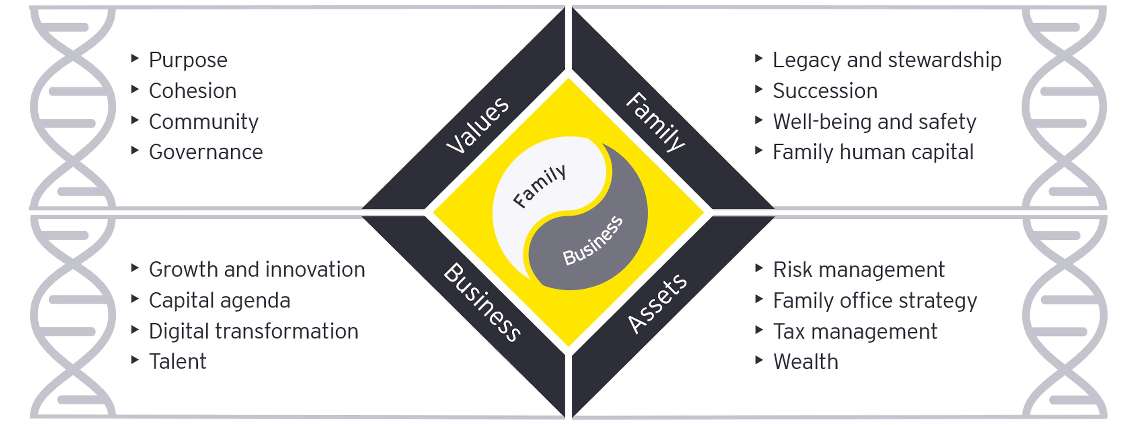 EY Family Enterprise DNA Model | EY - Global
