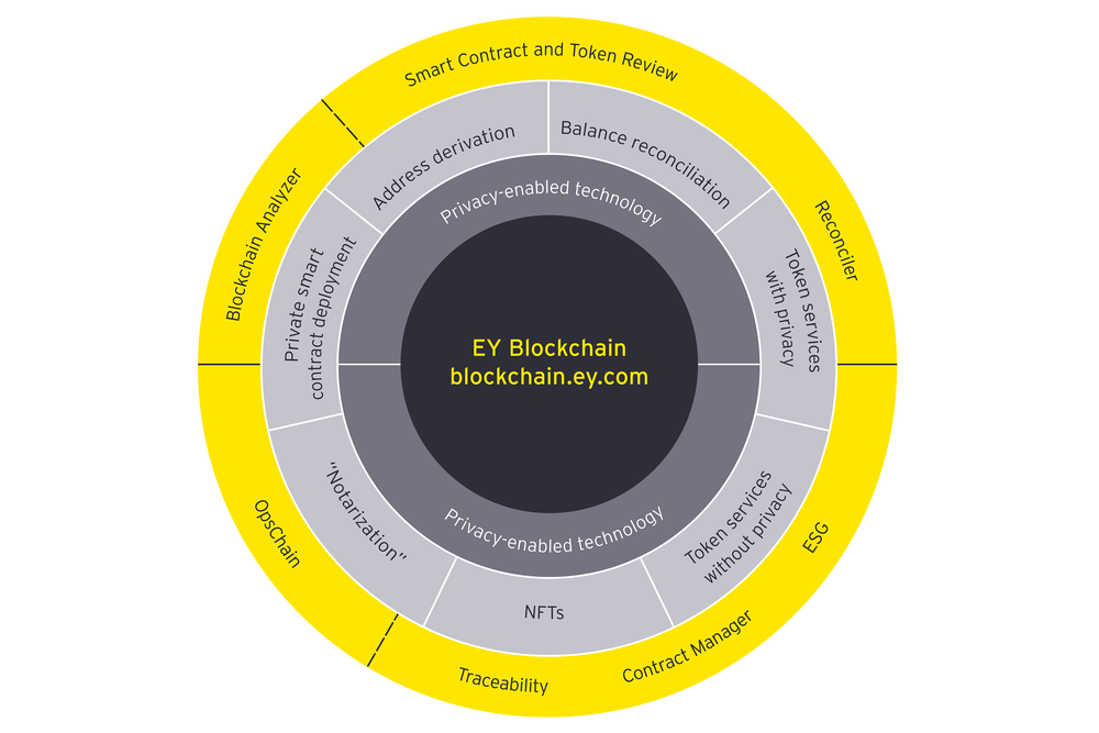 Blockchain platform | EY - Global