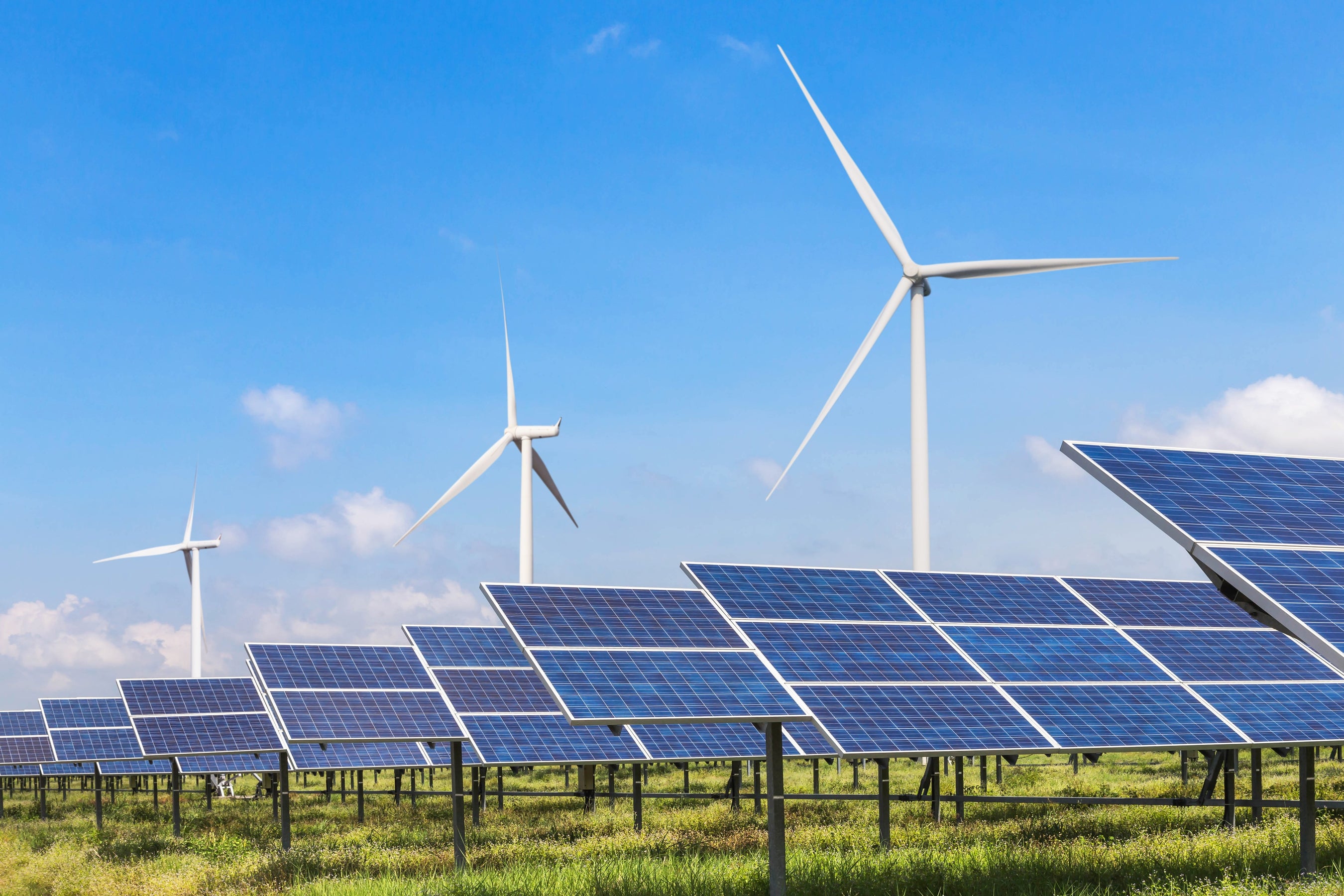 Jakson Green secures marquee partnership with Blueleaf Energy worth US$ 400 million | EY - India