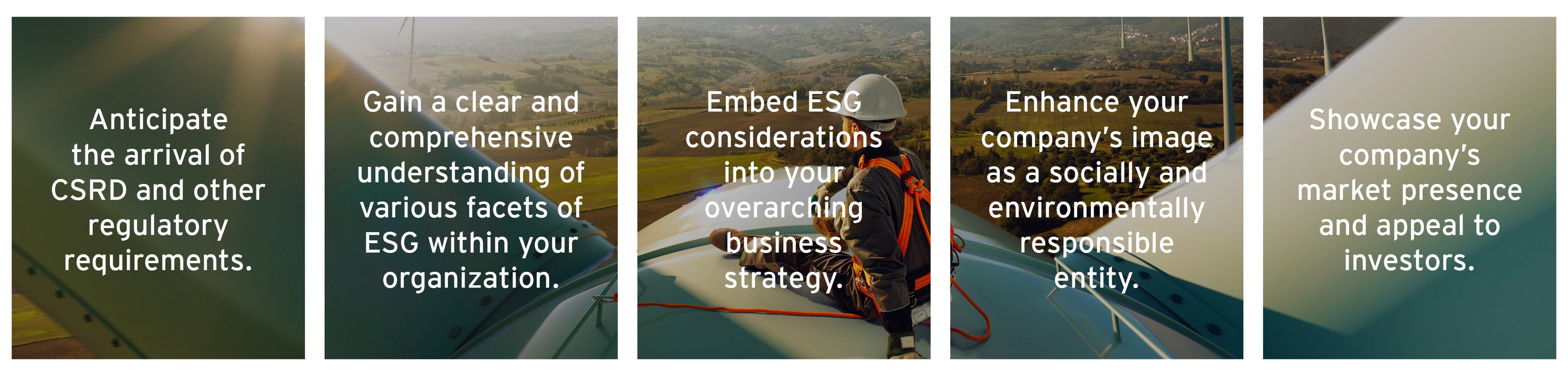 ESG Maturity Assessment | EY - Czech Republic