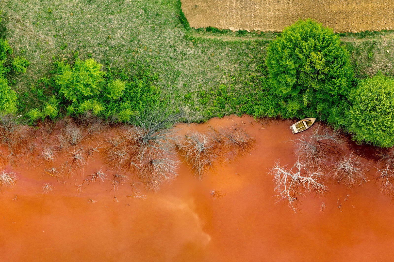 EY Global Nature Action Barometer | EY - Deutschland