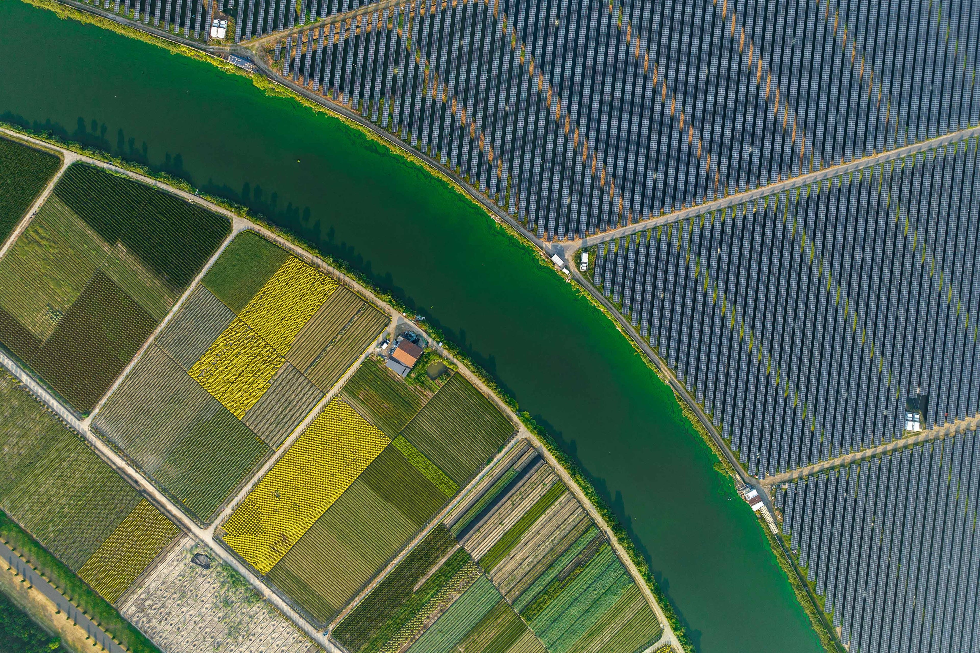 What you need to know about ISSB's new research projects | EY - Global