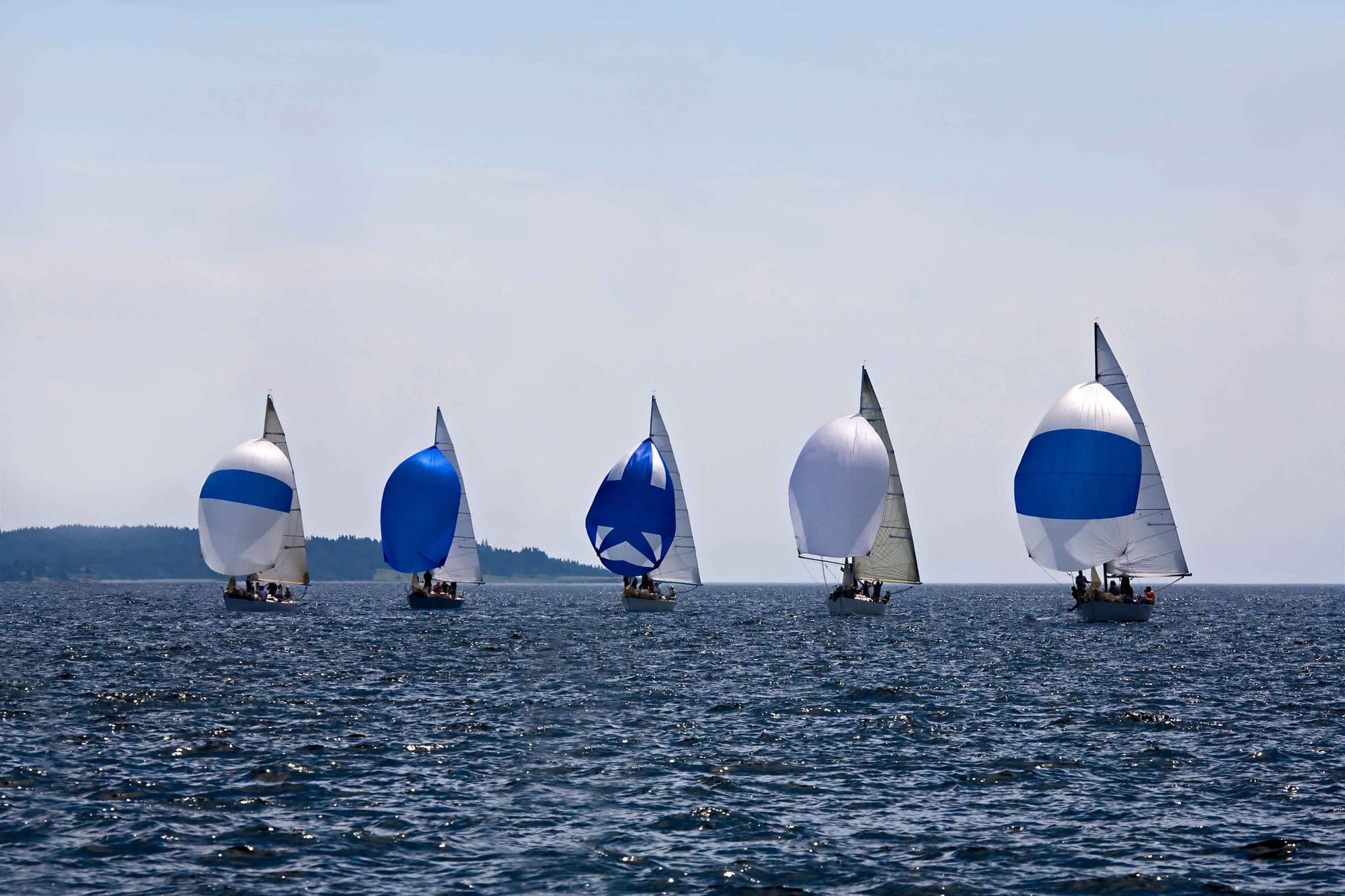 VSMEの概要と“ポストオムニバス”におけるEU子会社のCSRD対応オプション | EY Japan