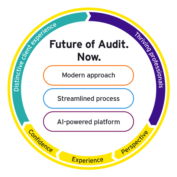 Audit | EY Singapore