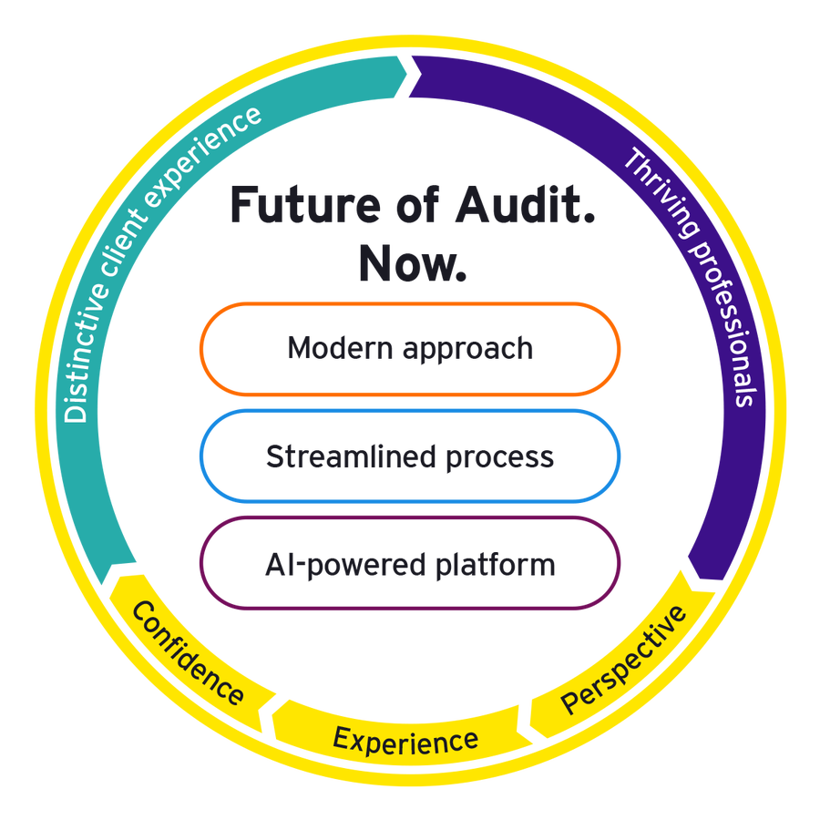 Audit | EY Singapore