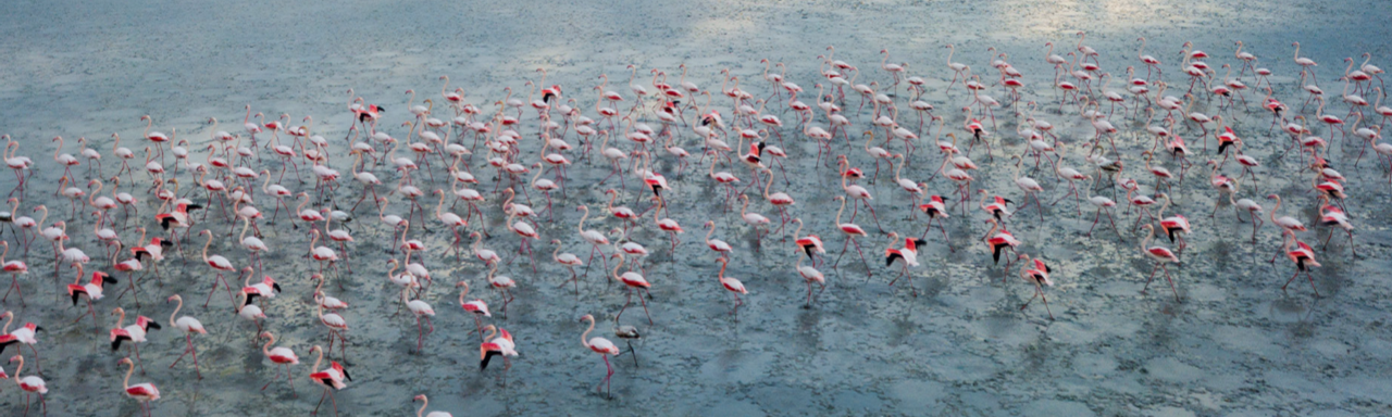 Cyprus Tax Facts | EY - Global