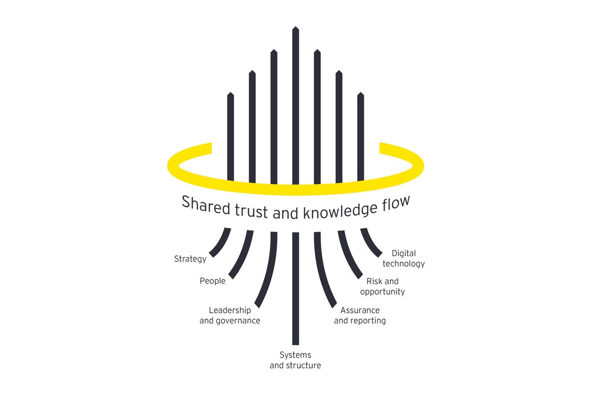 EHS Maturity Model | EY - US