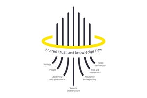 EHS Maturity Model | EY - US