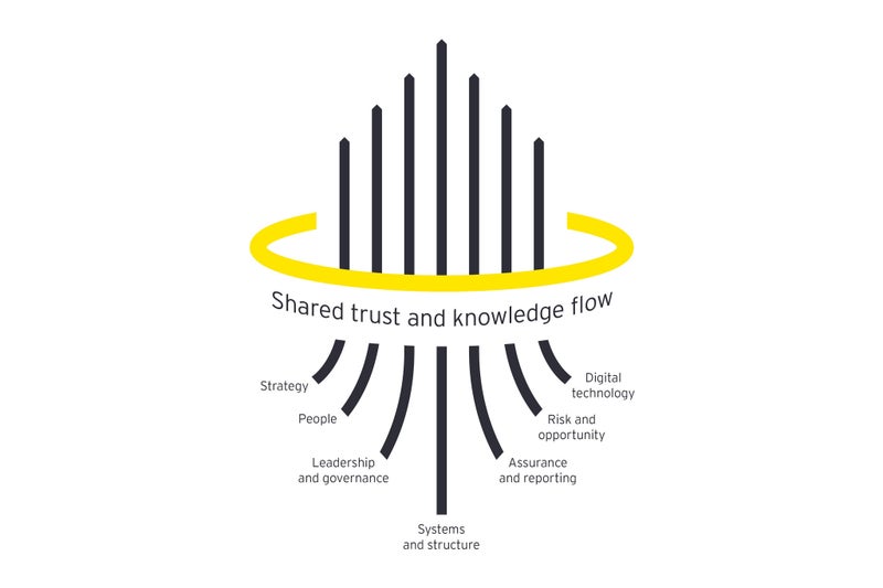 EHS Maturity Model | EY - US