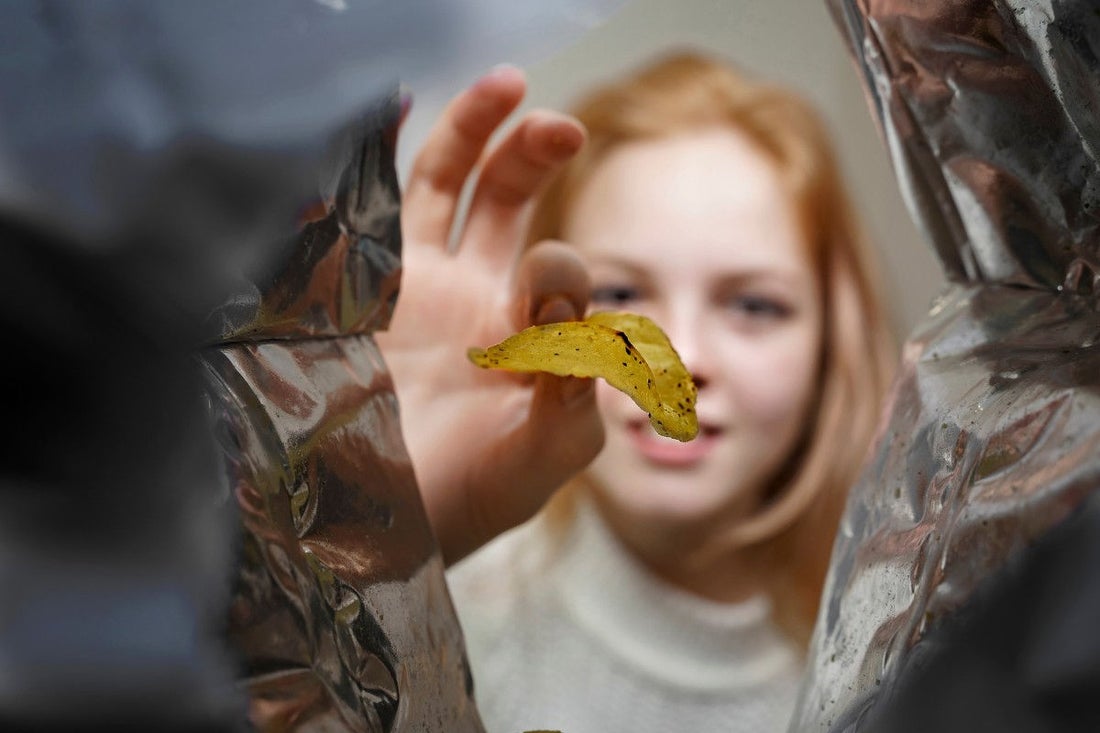 ¿Cómo es posible que los envases mantengan los productos frescos sin ...