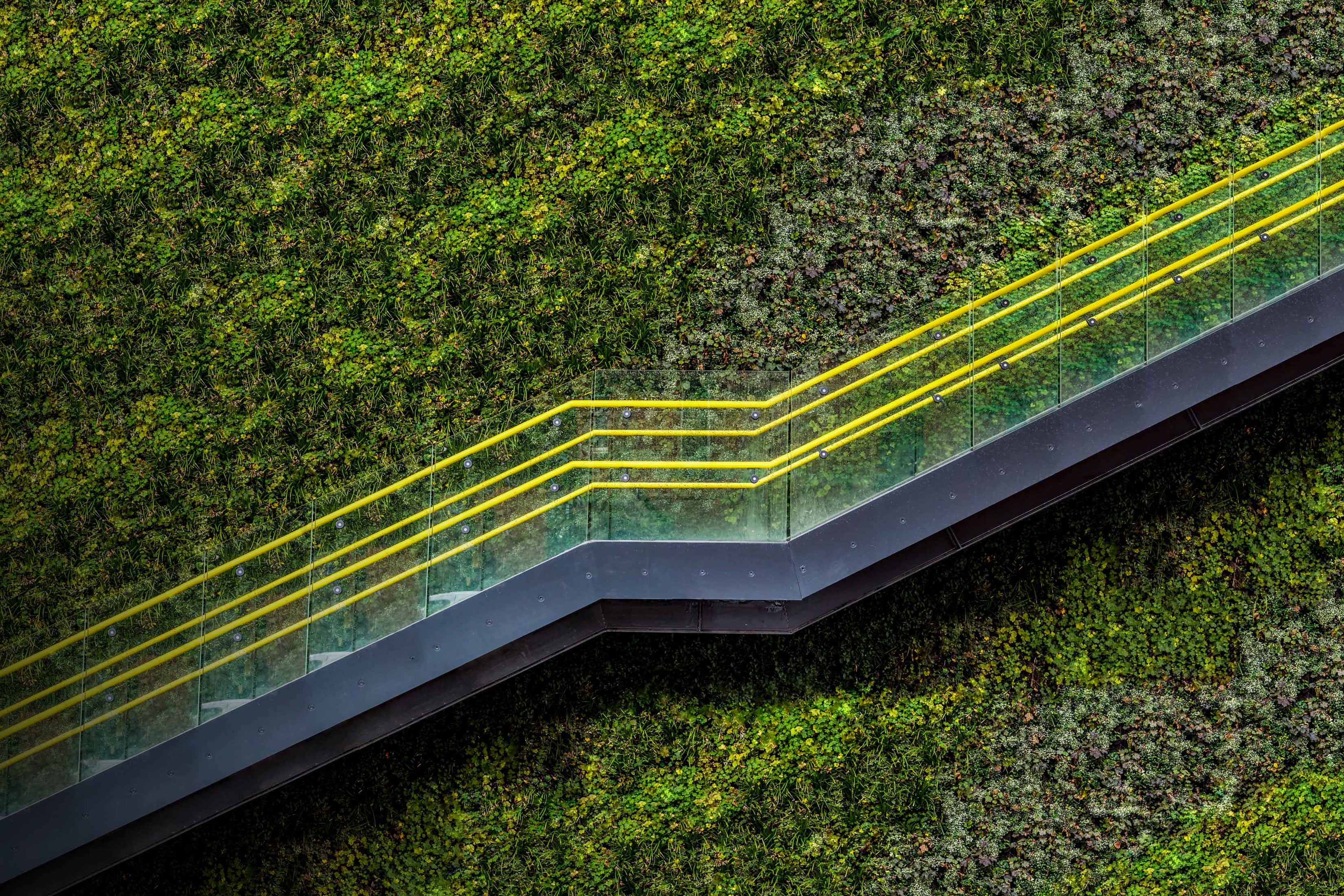 Assurance Services | EY - Ireland