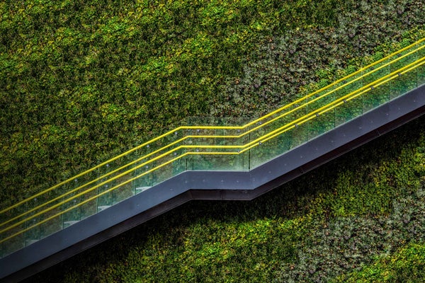 Digital audit | Insights, case studies & services | EY - Global