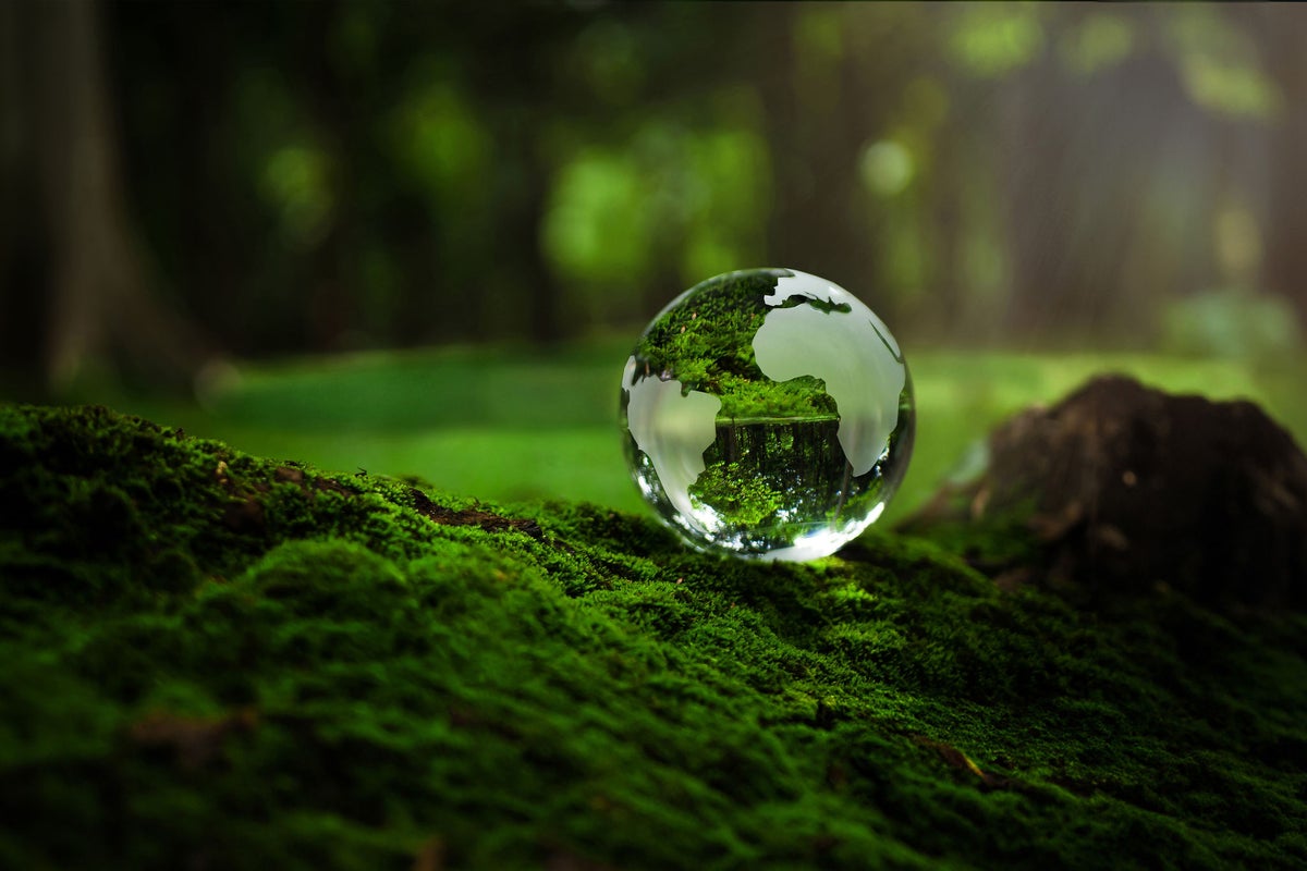 SDGs driving India’s net zero ambition | EY - India