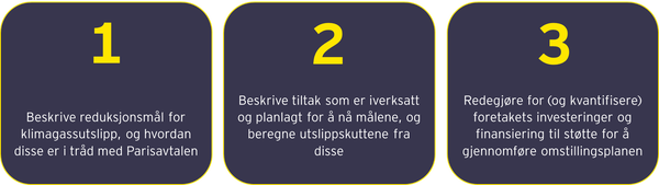 Norske selskapers planer for klimaomstilling | EY Norge
