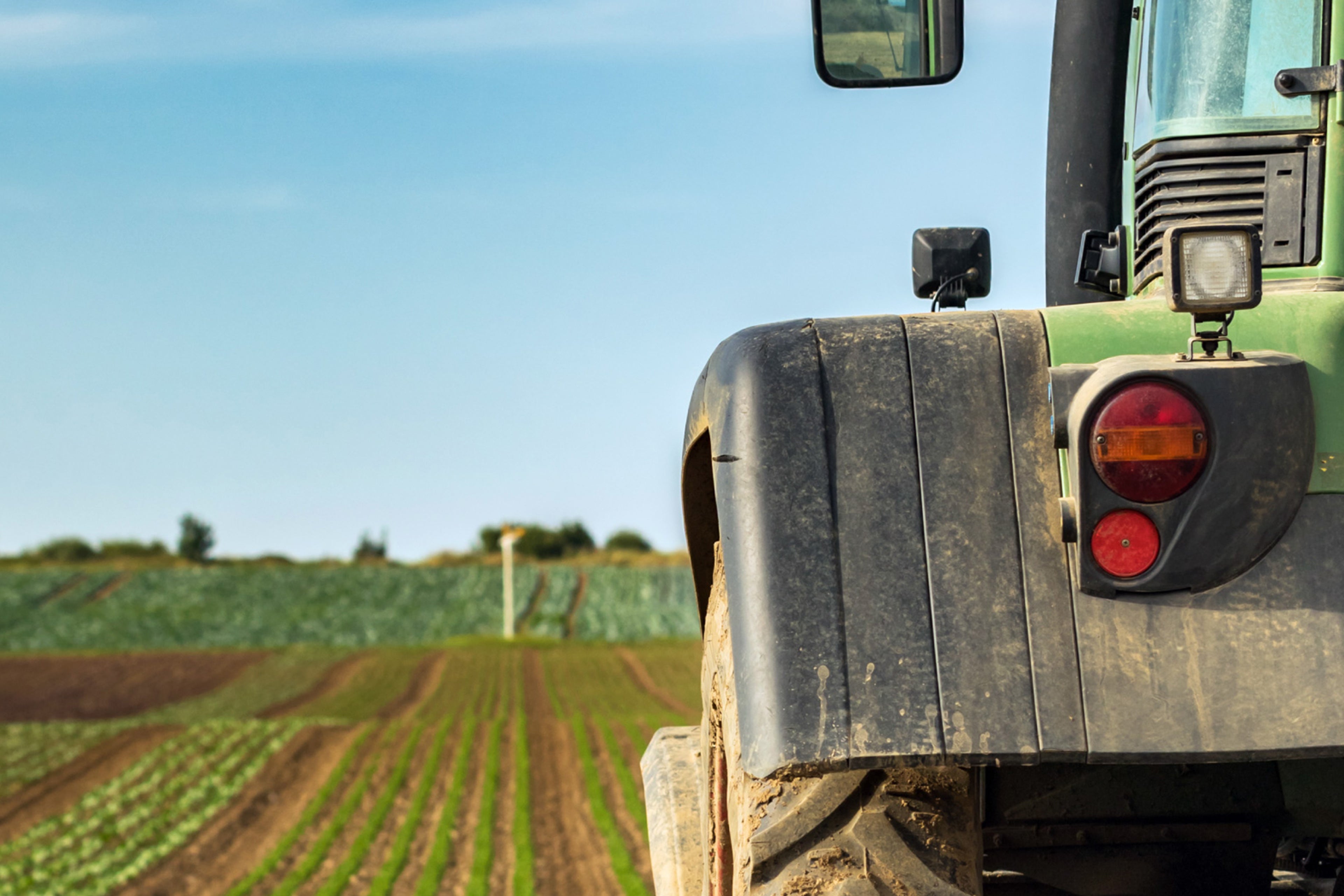 ¿Cómo le va al agro en el Perú? | EY - Perú