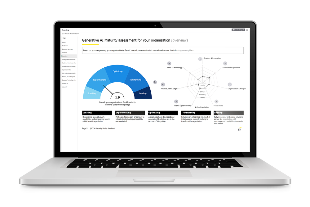 Transformation Platform | EY - Global