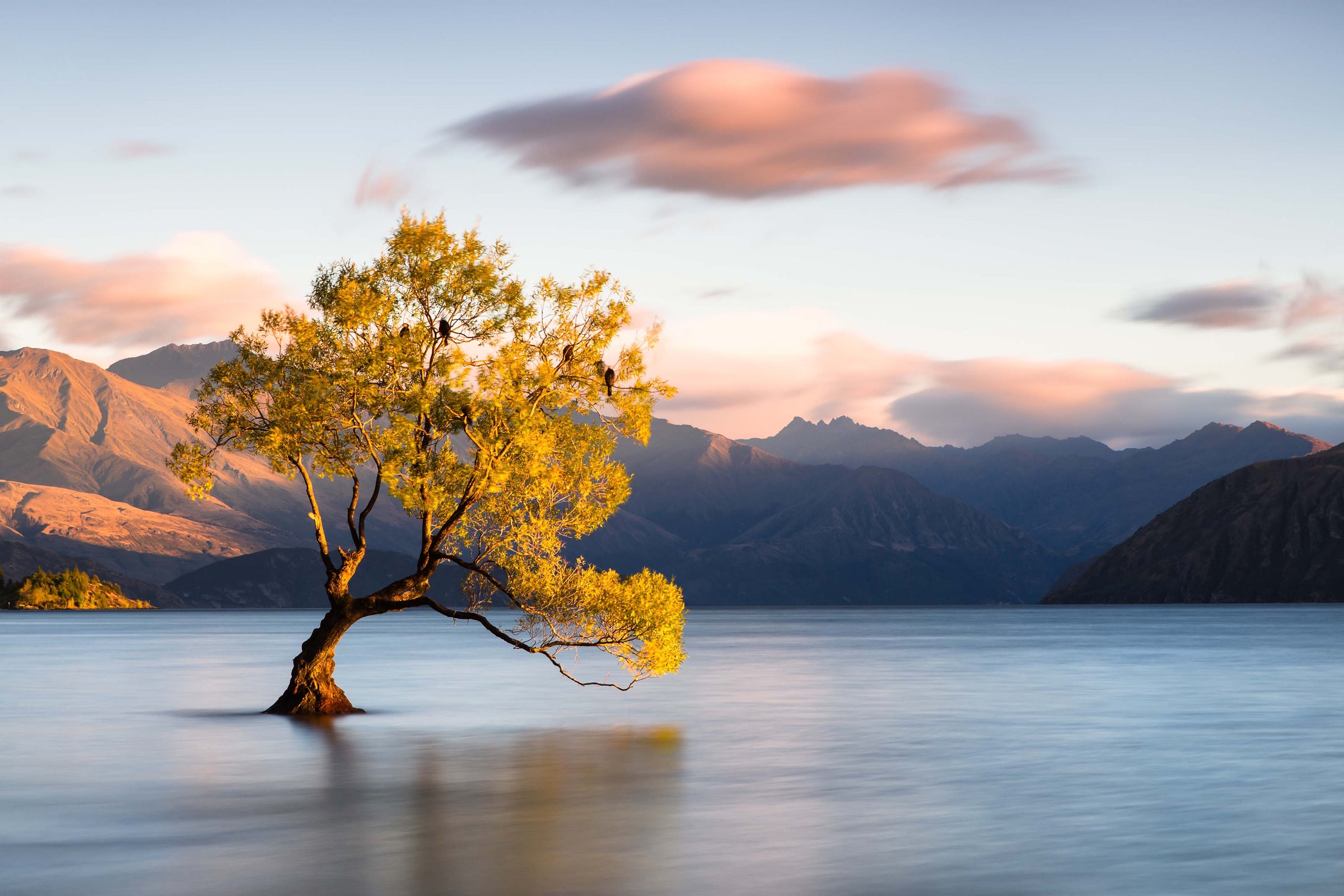 EY - New Zealand | Shape the future with confidence