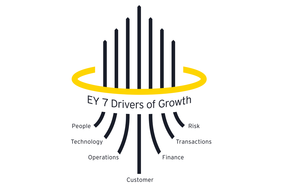 Customers as a driver of business growth | EY - UK
