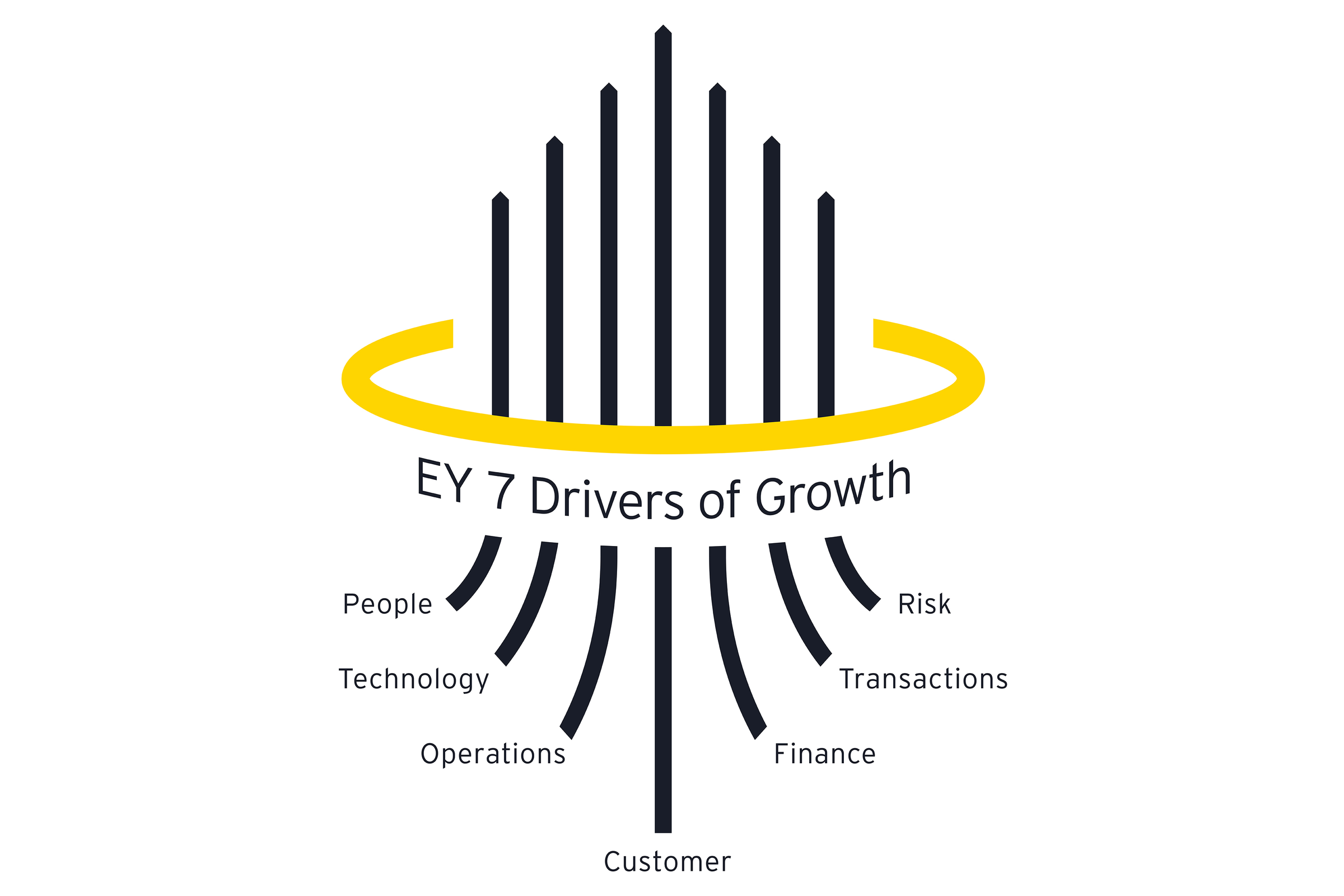 Finance as a driver of business growth | EY - Global