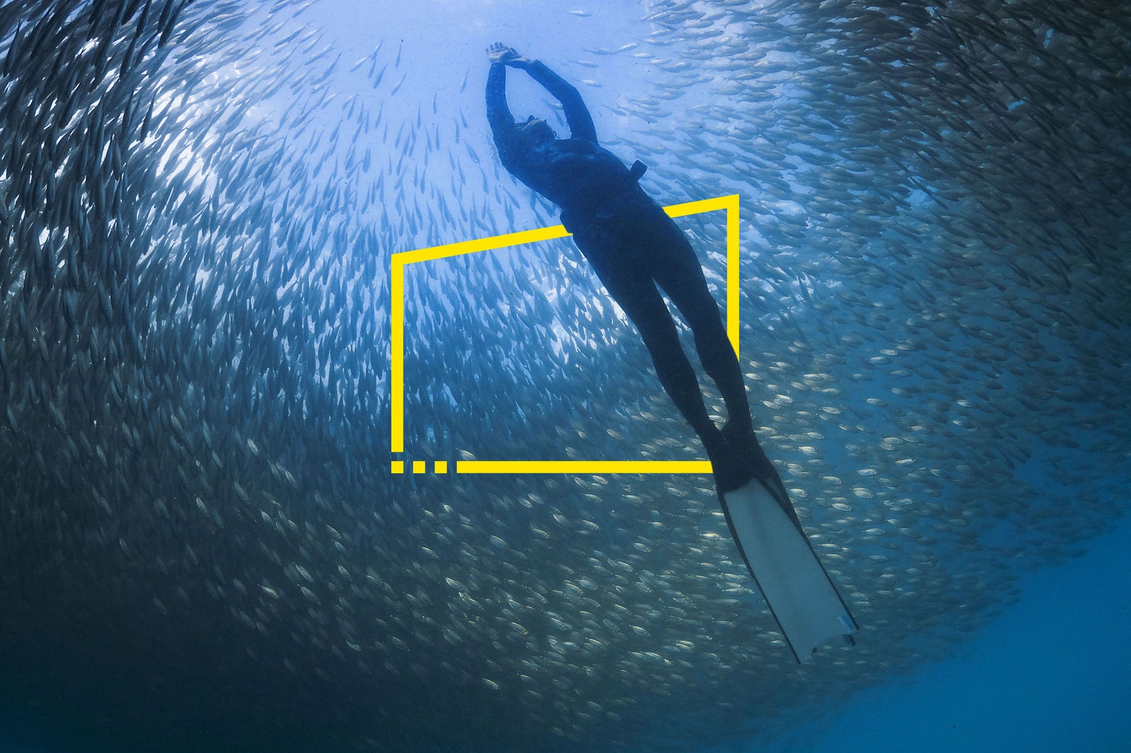 Supply chain | EY - US