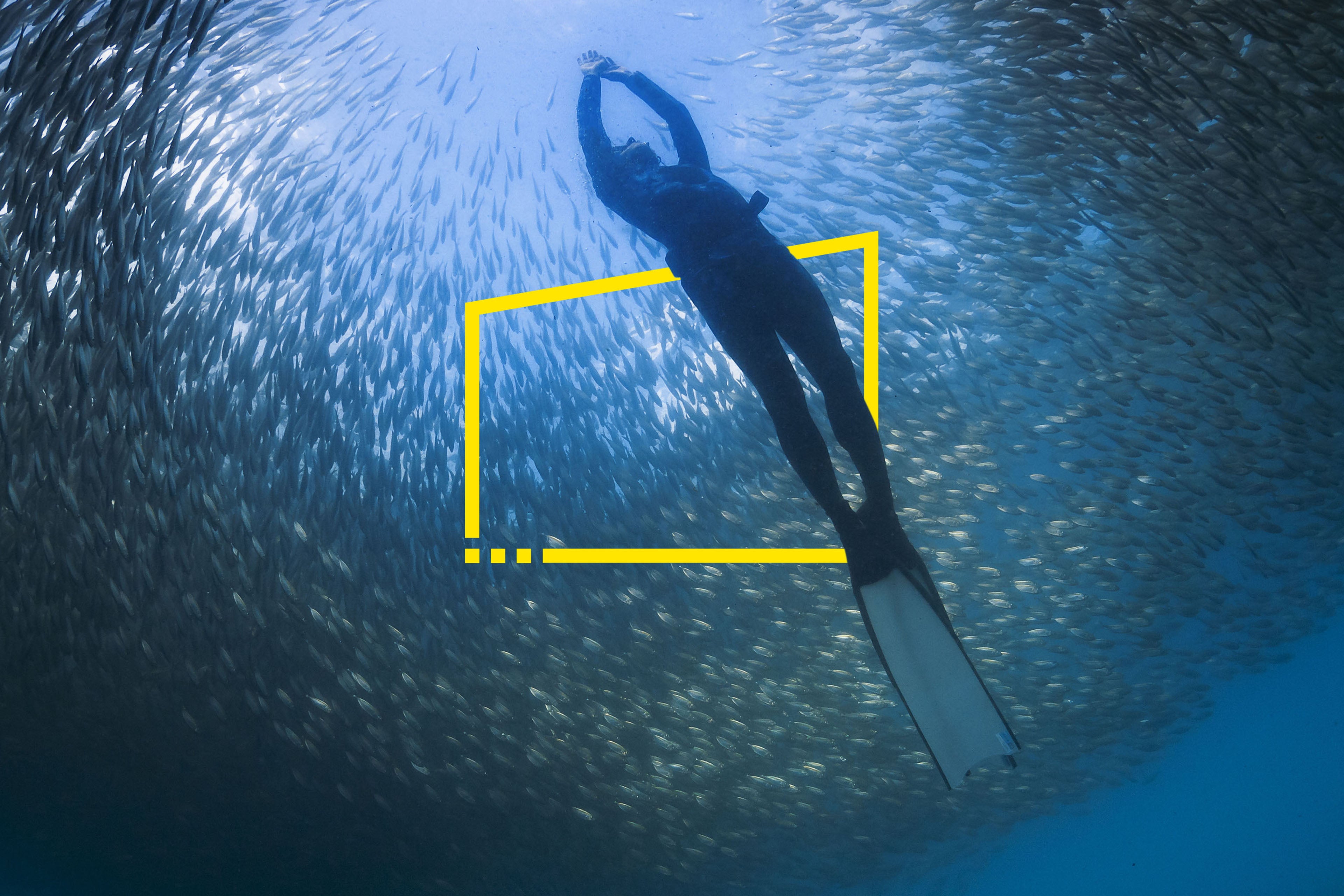 Supply chain | EY - US