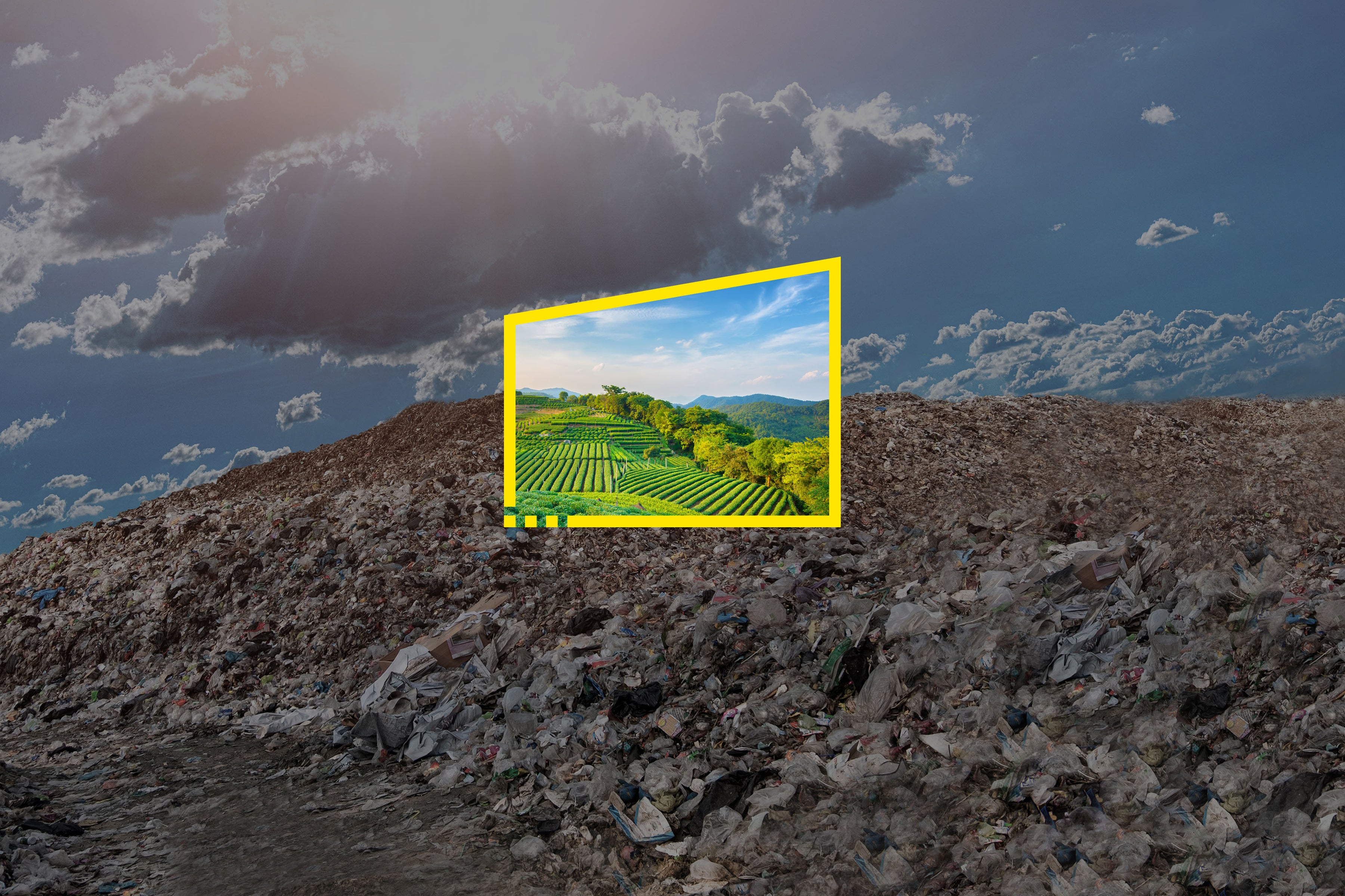 EY Masters in Sustainability by Hult | EY – Global | EY - Global