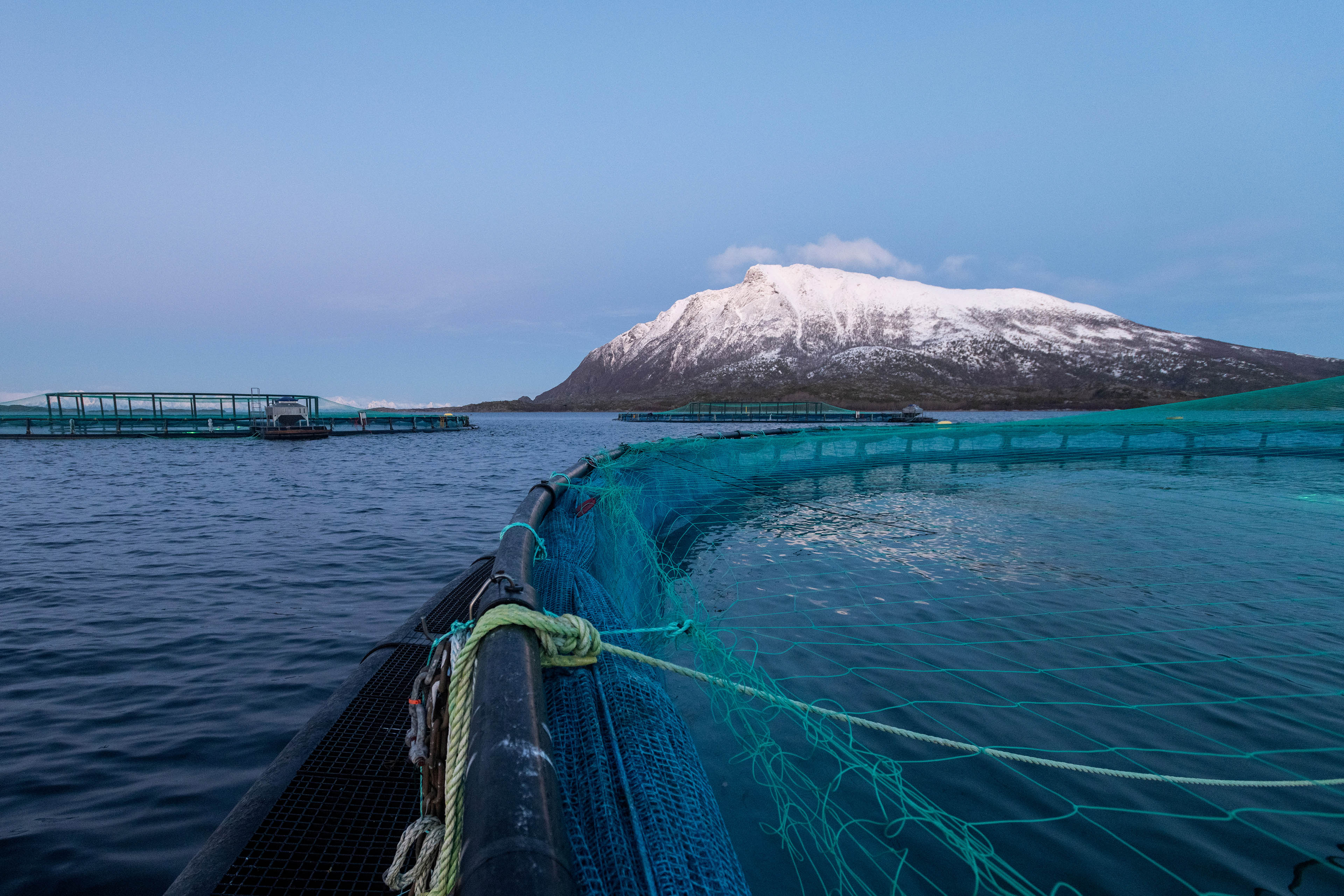 The 2024 EY Norwegian aquaculture analysis | EY Norway