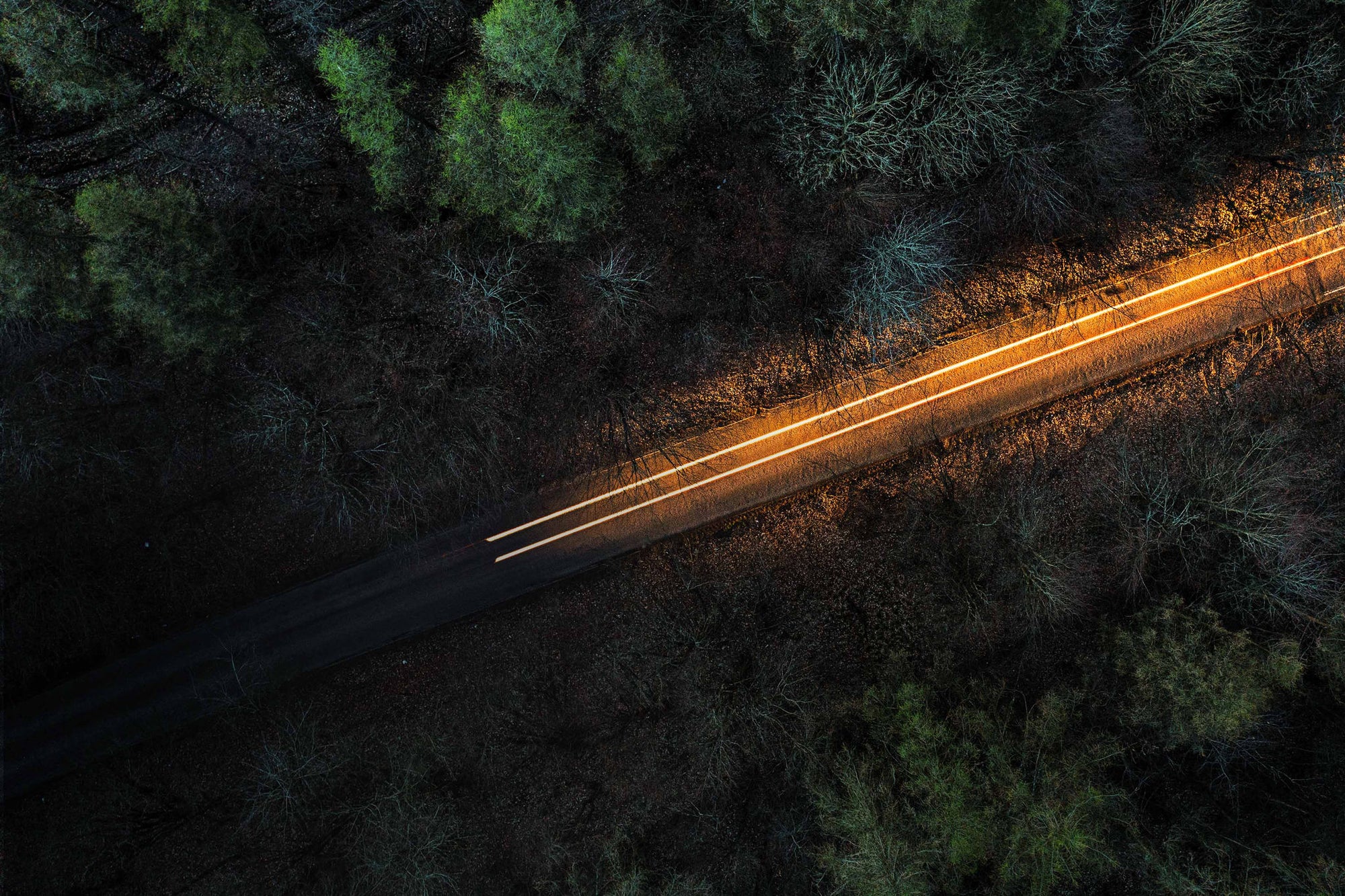 How businesses can stand the test of time | EY - Global
