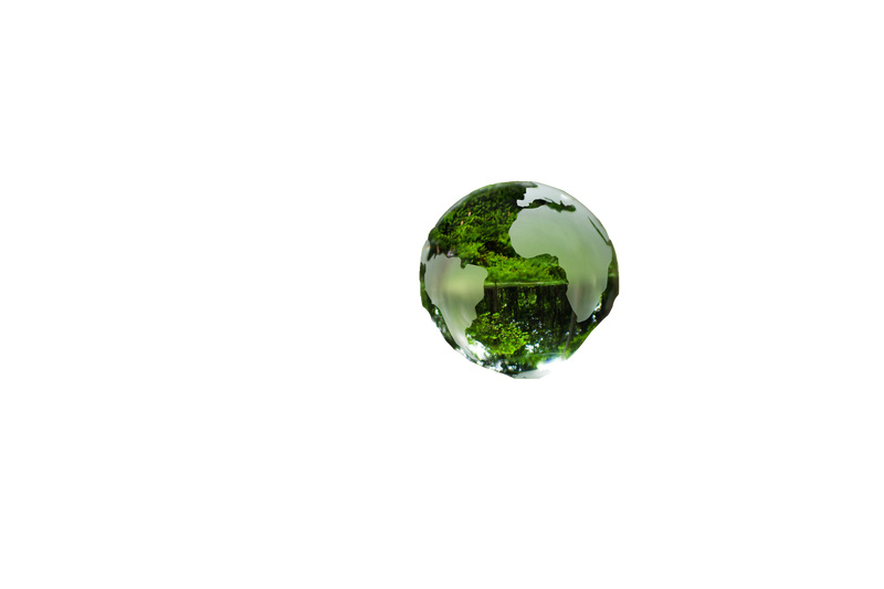 India's Sustainable Development Goals: Net Zero | EY - India