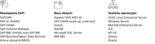SAP support | SAP helpdesk | EY - Polska