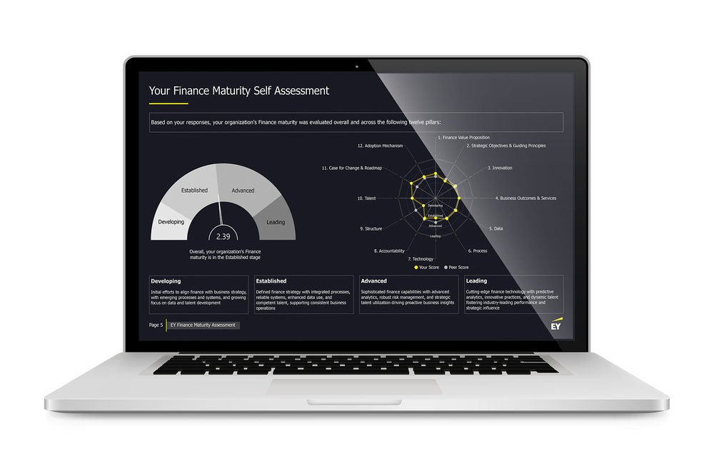 EY Finance Strategy Maturity Assessment tool | EY - Global