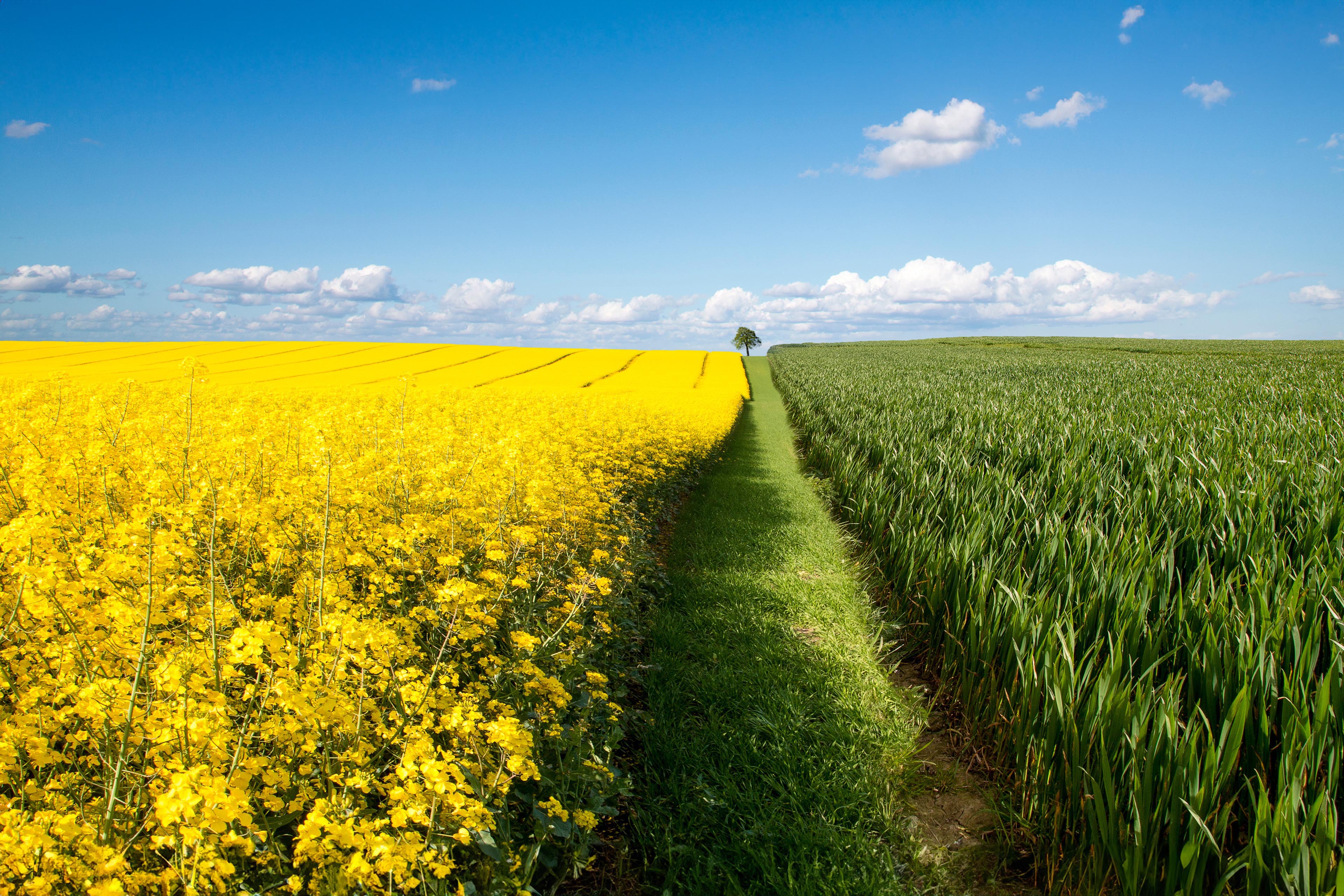 Preparing for the EU’s new sustainability disclosures | EY - US