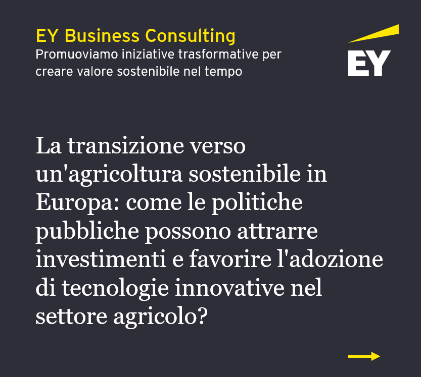 Business Consulting | EY - Global