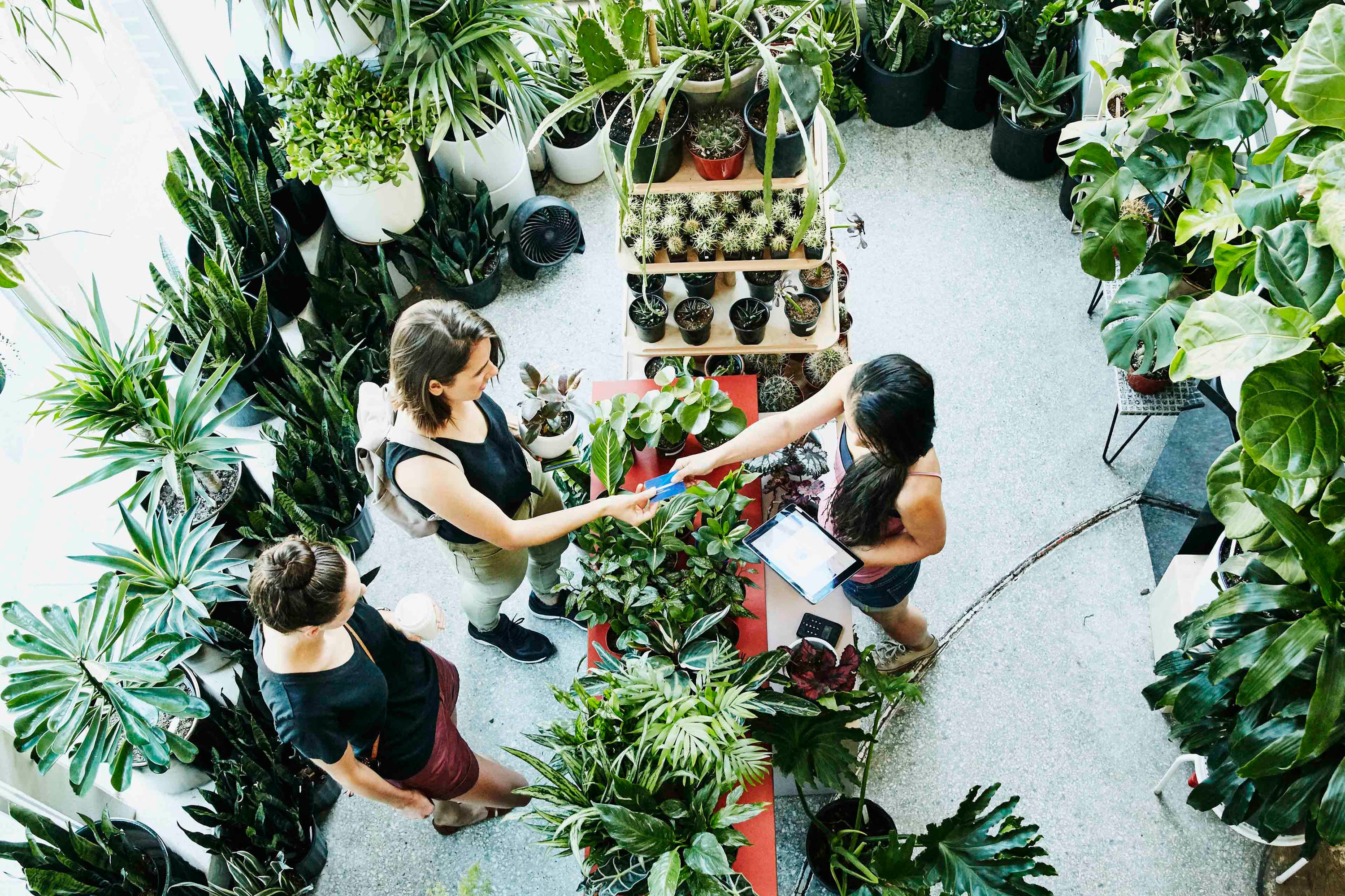 Wealth and asset management AI simulation with Aaru | EY - US