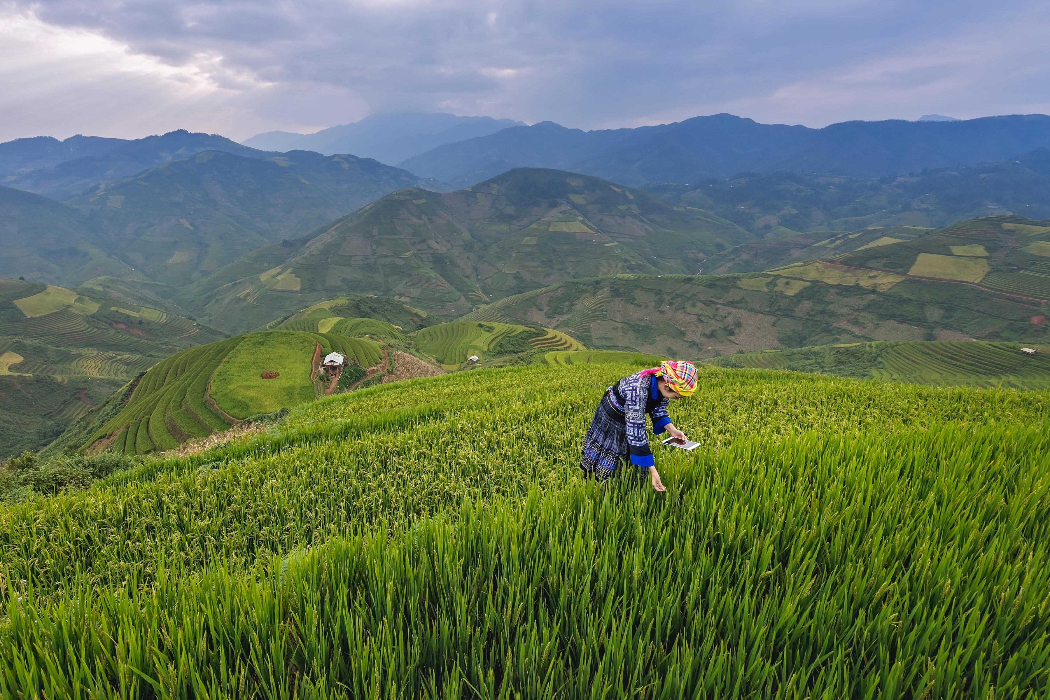 Social impact collaboration | EY - Global
