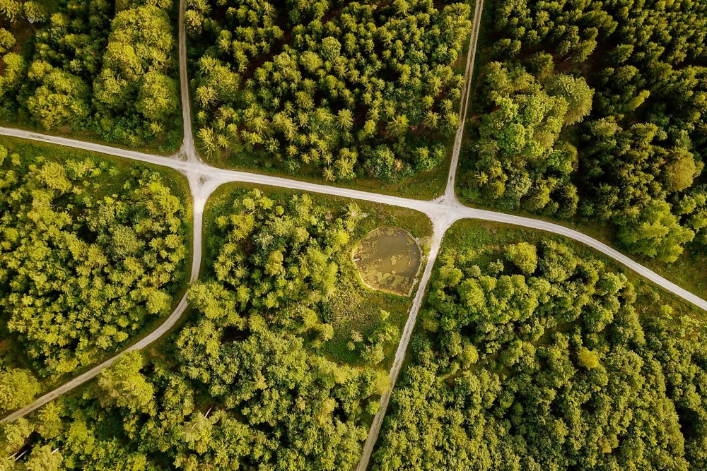 Six ways that governments can drive the green transition | EY - UK