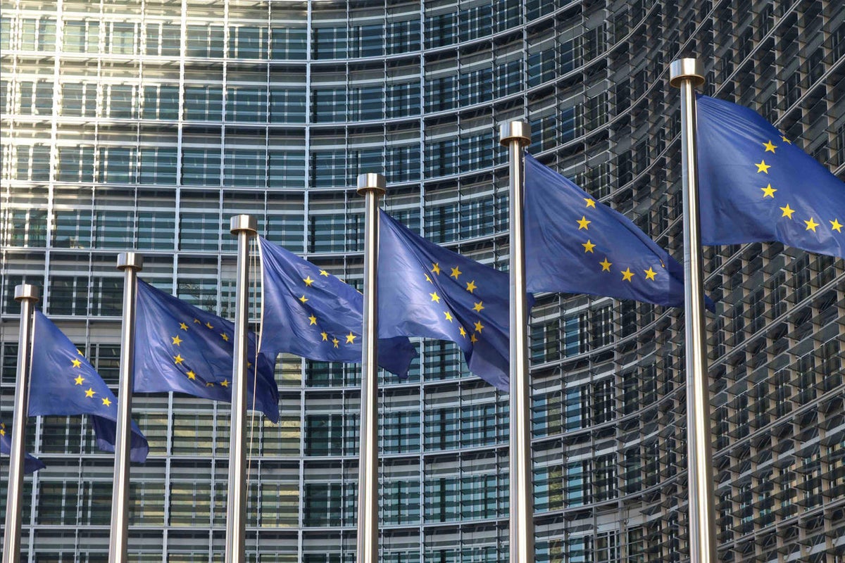 ESRS-Zusammenfassung: Fakten für Ihre CSRD-Konformität | EY - Österreich