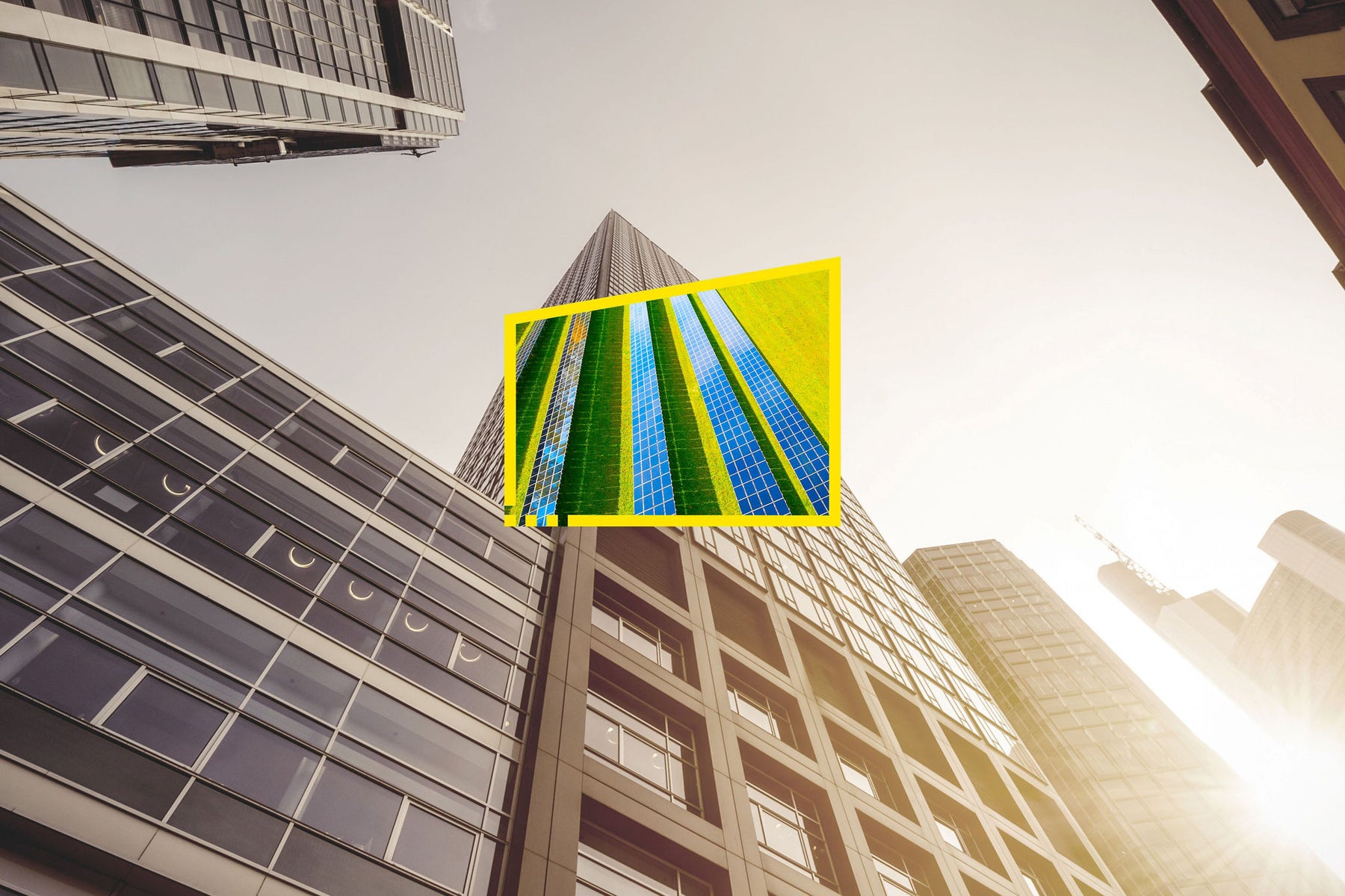 Accelerating decarbonization in global financial services | EY - Global