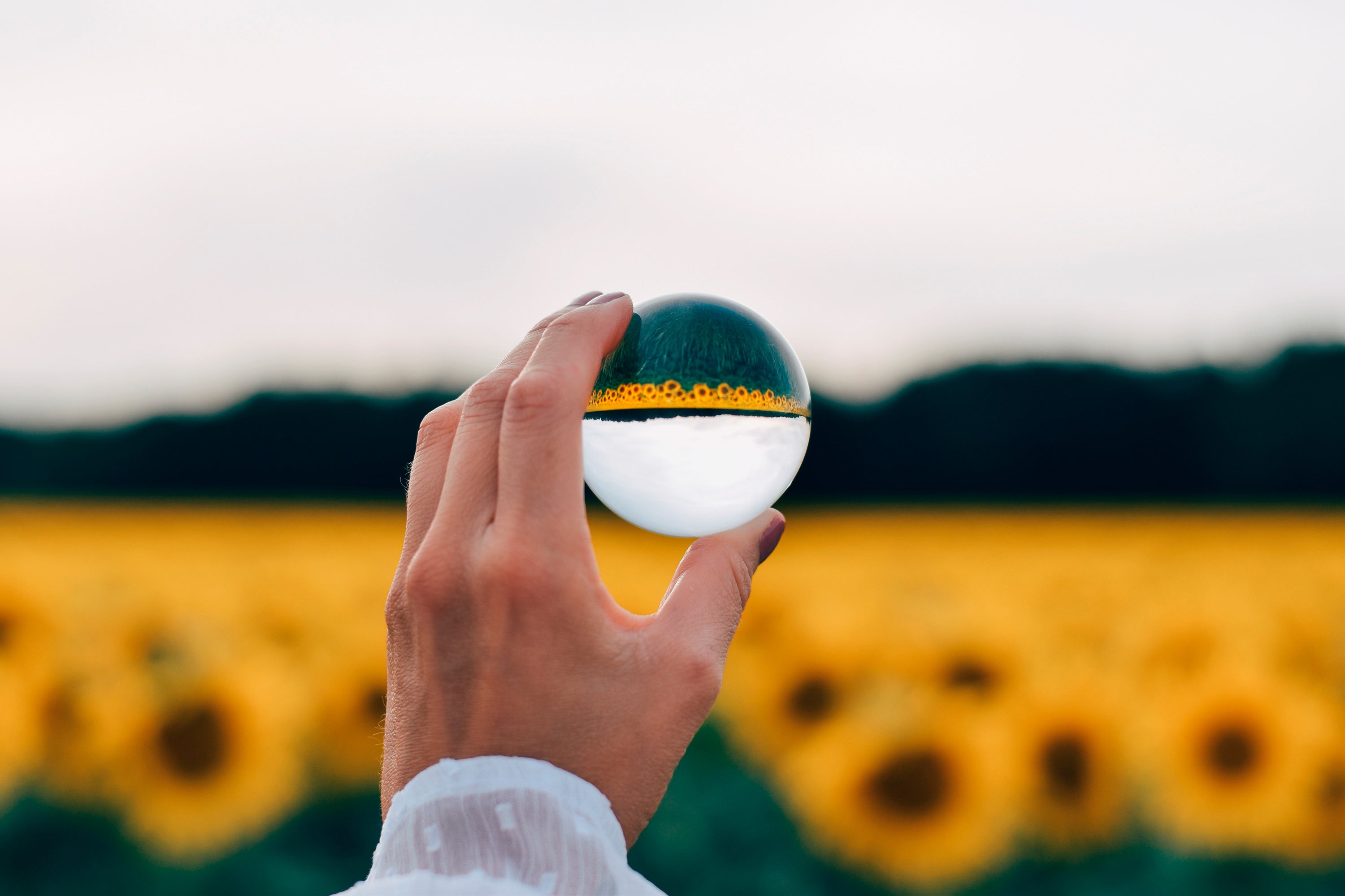Panorama des fondations et fonds de dotation – 2024 | EY - France