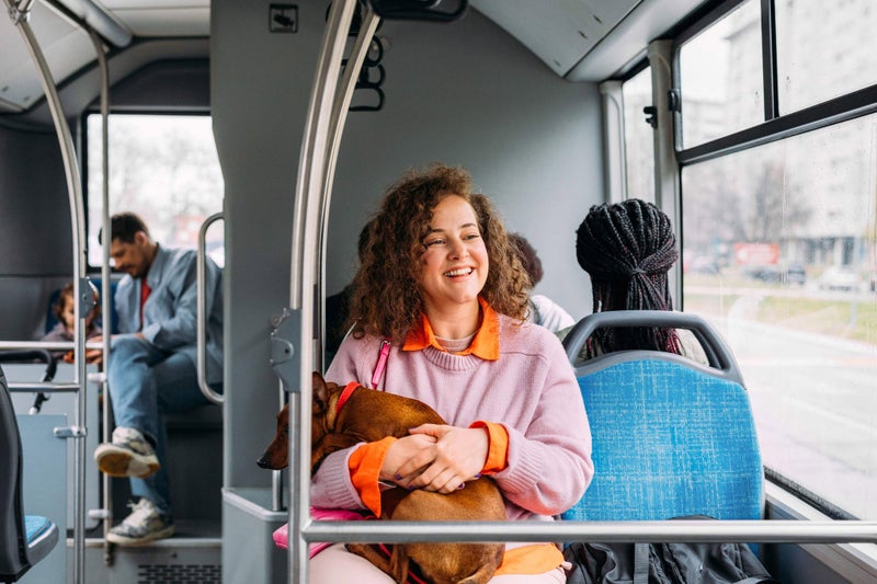 Microtransit trends and strategies shaping the future | EY - US