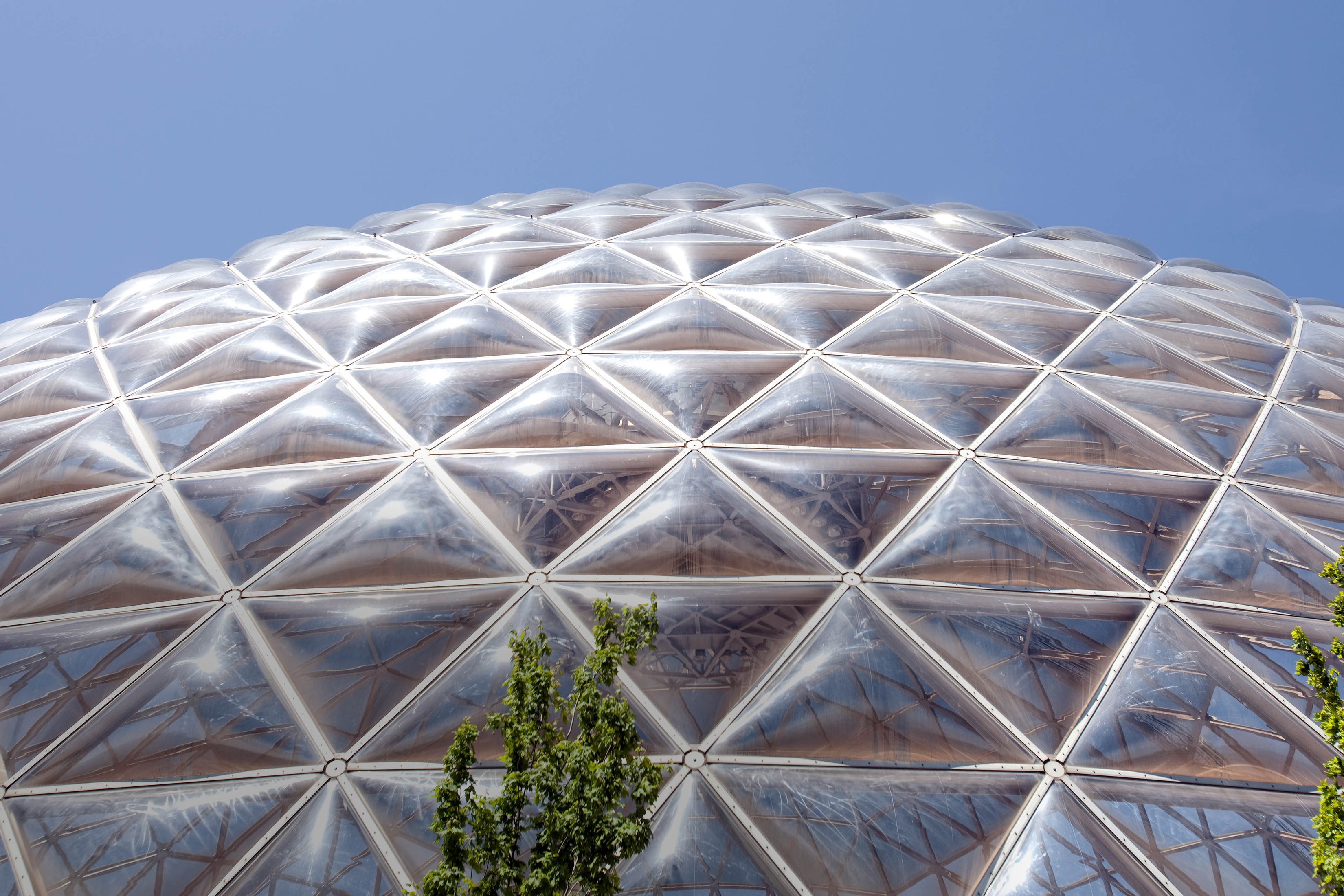 Can a universal carbon price be fair for everyone? | EY - Global