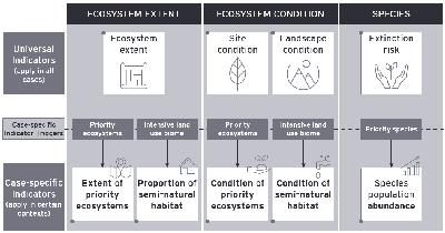 ネイチャーポジティブの評価指標、State of Nature Metricsの開発状況と概要解説 | EY Japan