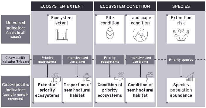 ネイチャーポジティブの評価指標、State of Nature Metricsの開発状況と概要解説 | EY Japan