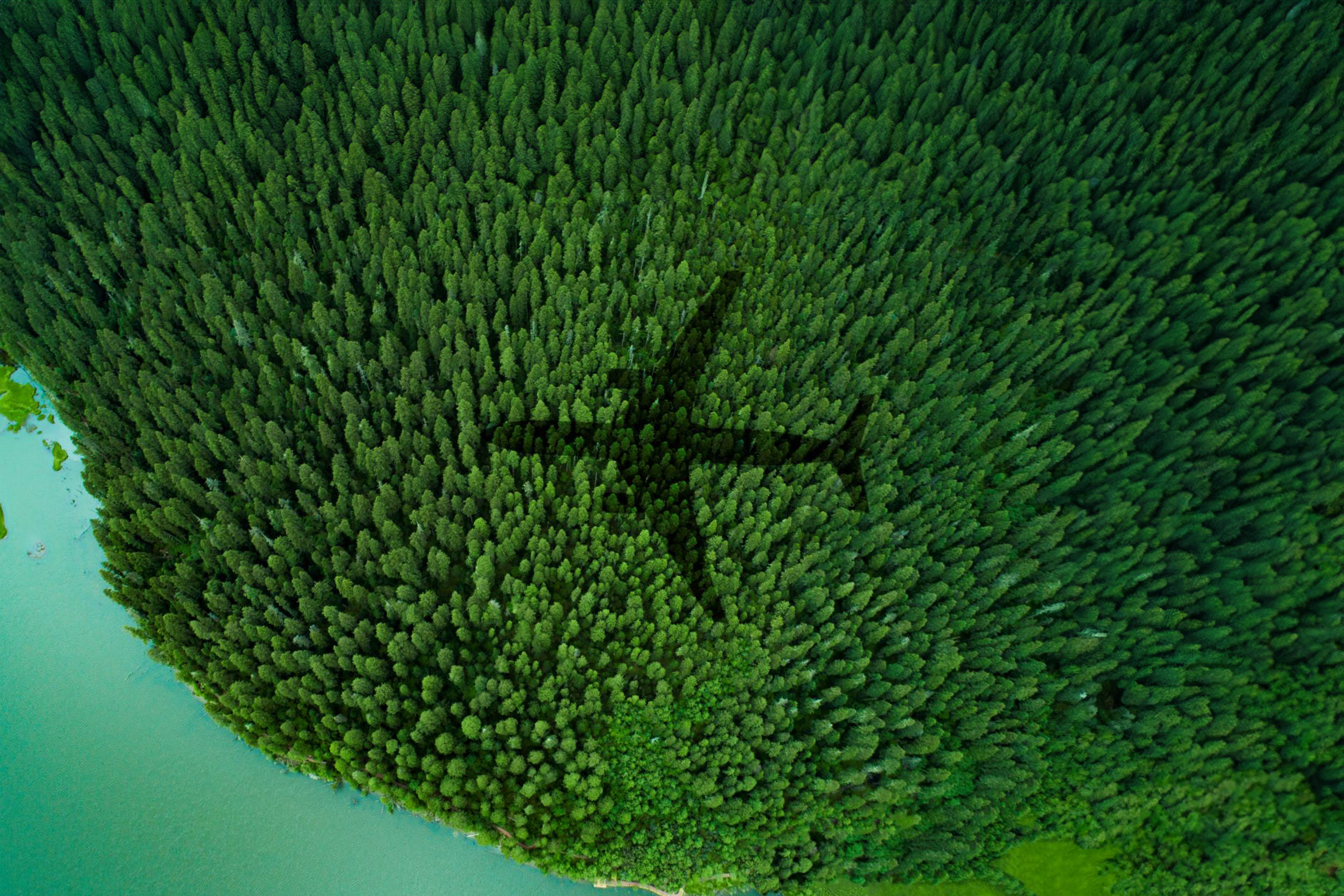 Aviation net zero in 2050 | EY - US