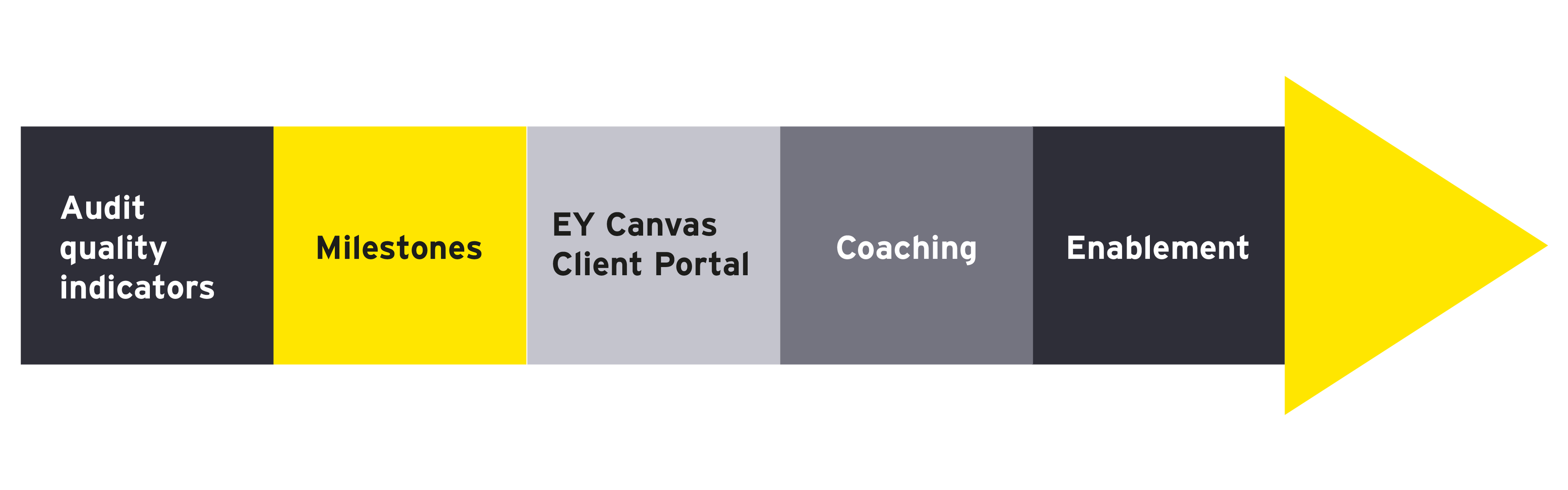 EY Global Audit Quality Report | EY - Global