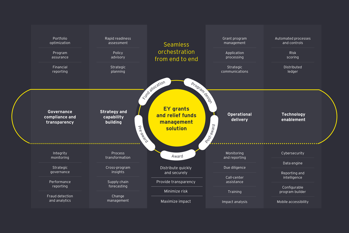 Grants and Relief Funds Management solution | EY - New Zealand