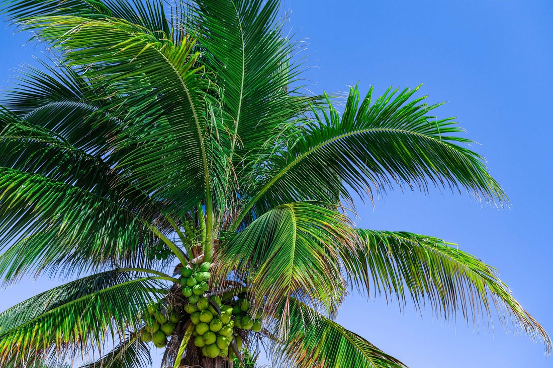 Wie das Großprojekt Carve-out gemeistert werden kann | EY - Deutschland